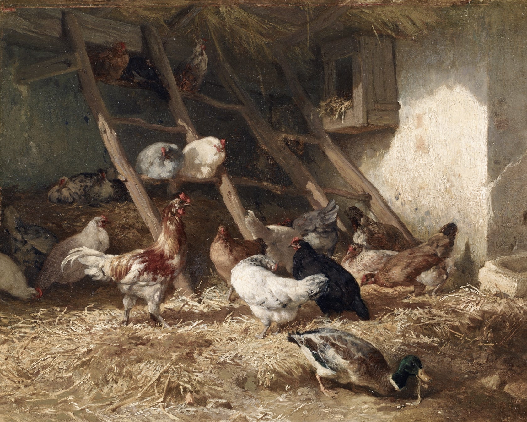 Vintage Still Life Print - Chicken Coop – Cardinal Farmhouse